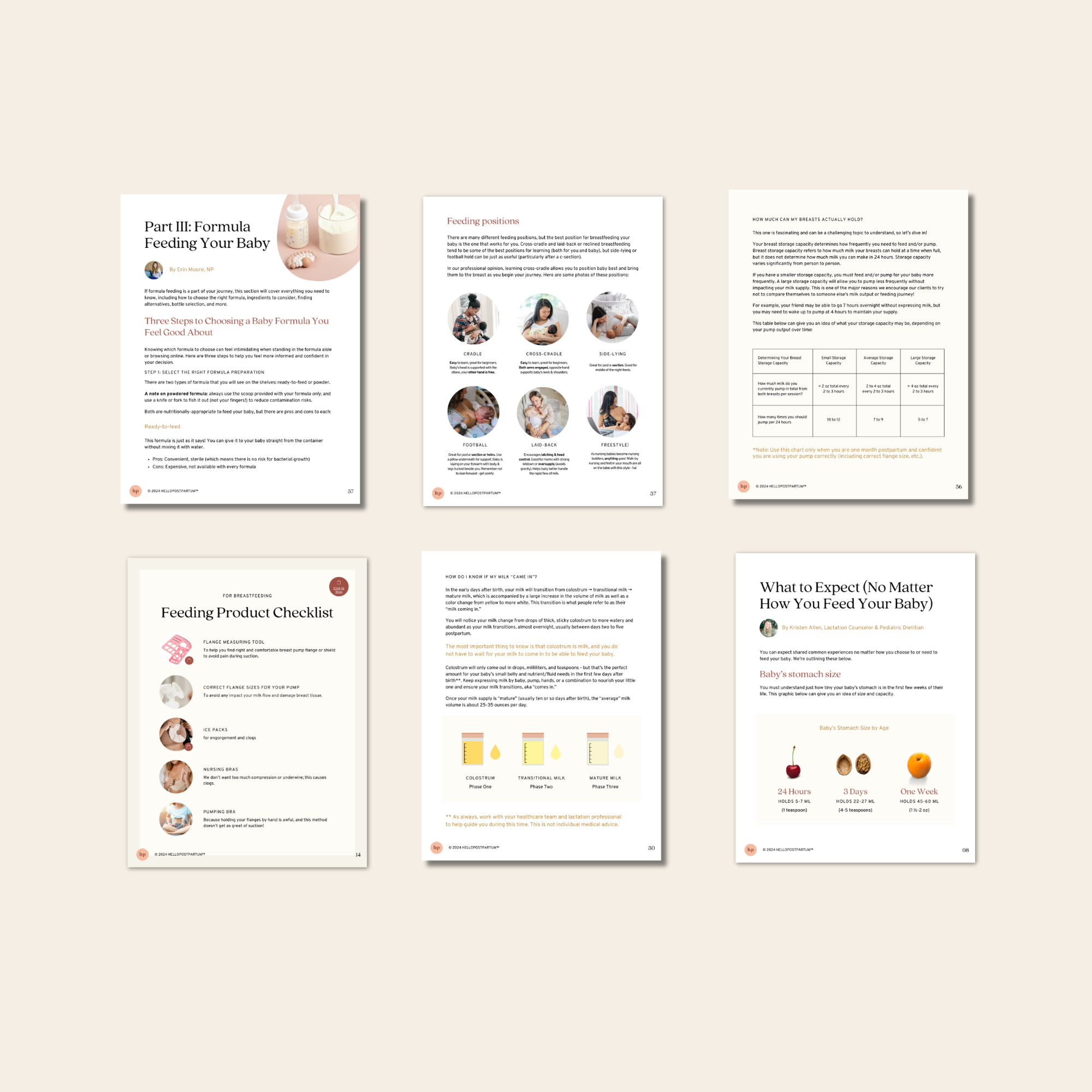 Baby Feeding Guide for Breast and Formula Fed Babies | Instant PDF ...